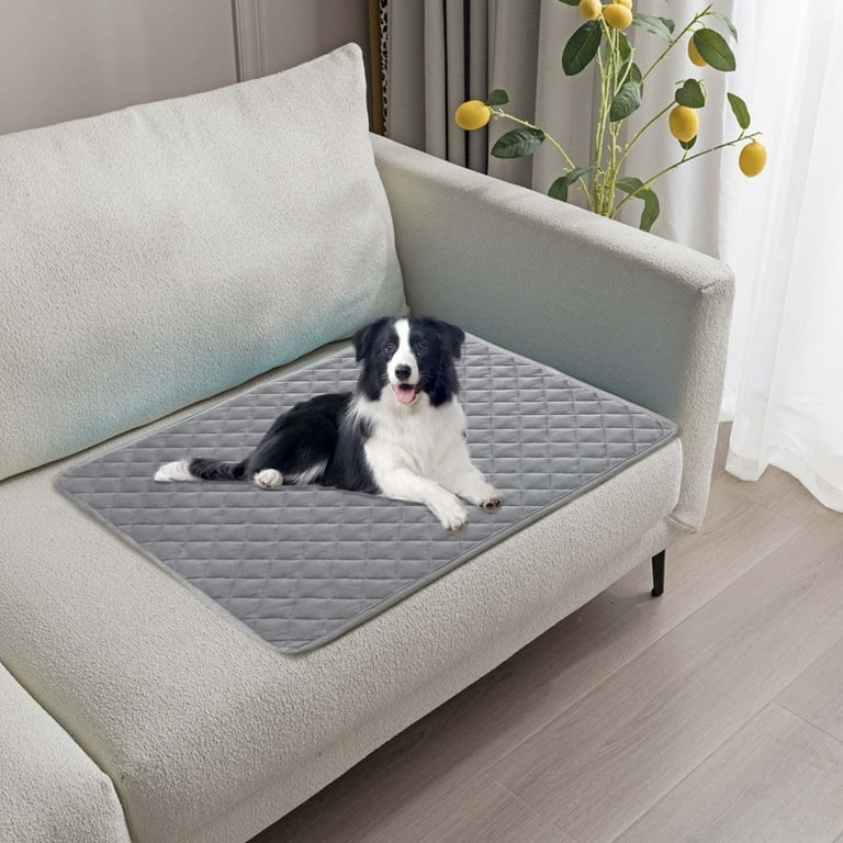 Extra large dog cooling pad store