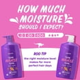Aussie Total Miracle, Apricot & Macadamia Oil, Paraben Free Shampoo and ...