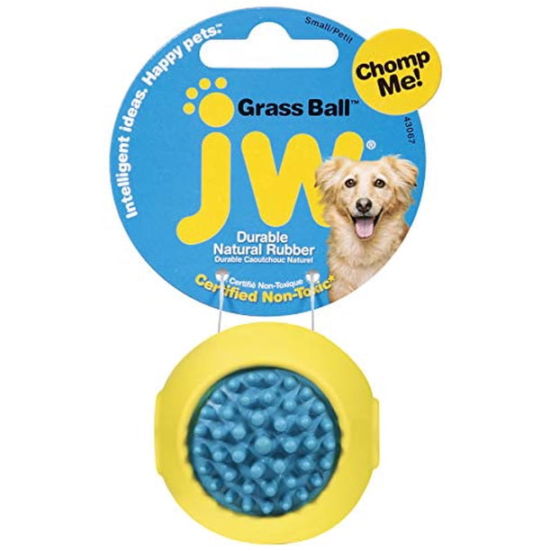JW Pet Company Grass Ball Dog Toy, Small, Colors Vary - Walmart.ca