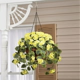 OakRidge Miles Kimball Fully Assembled Artificial Geranium Hanging ...