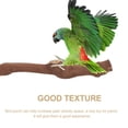 Tineasur Set of 2 Small Parrot Perches Grapevine Bird Stands in Light ...