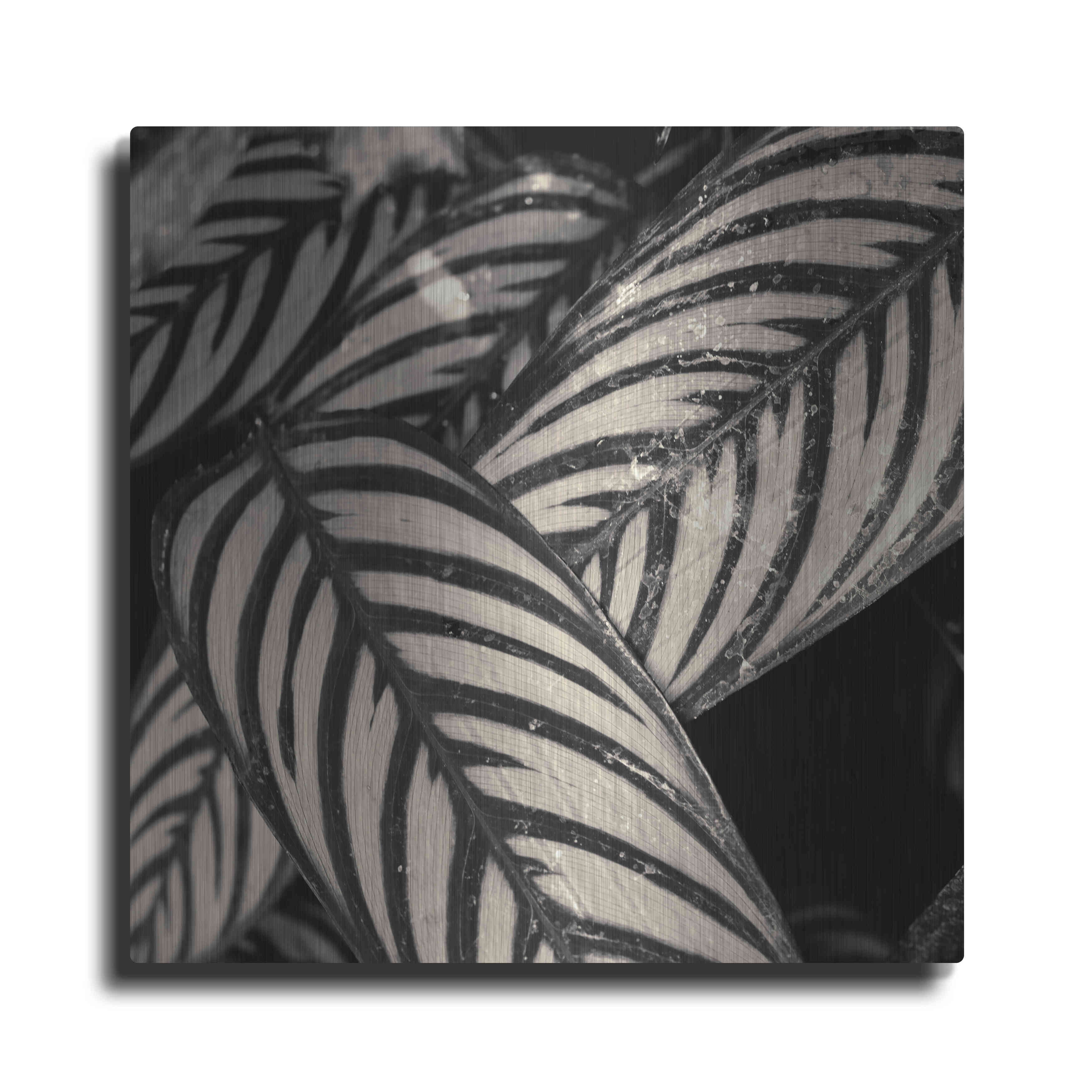 Luxe Metal Art 'Varigated Leaves No. 2' by Gary Horsfall, Metal Wall ...