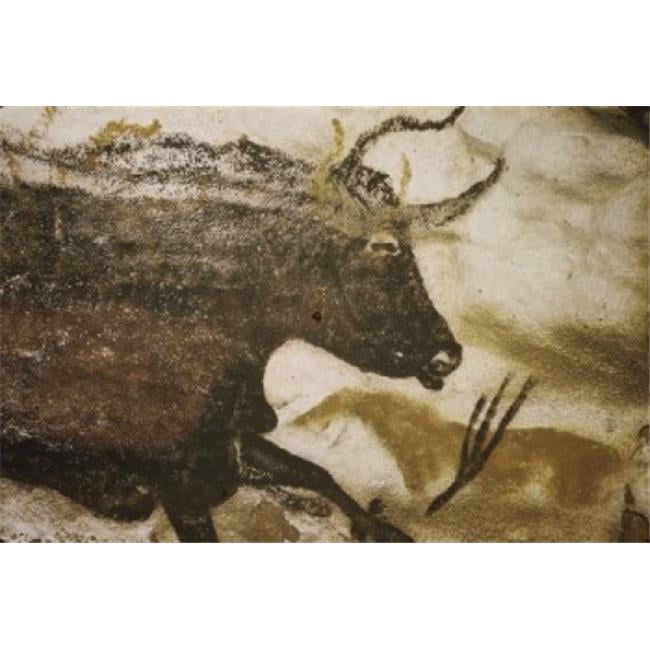 Great Black Bull Prehistoric Art Lascaux Caves France Poster Print, 18 ...