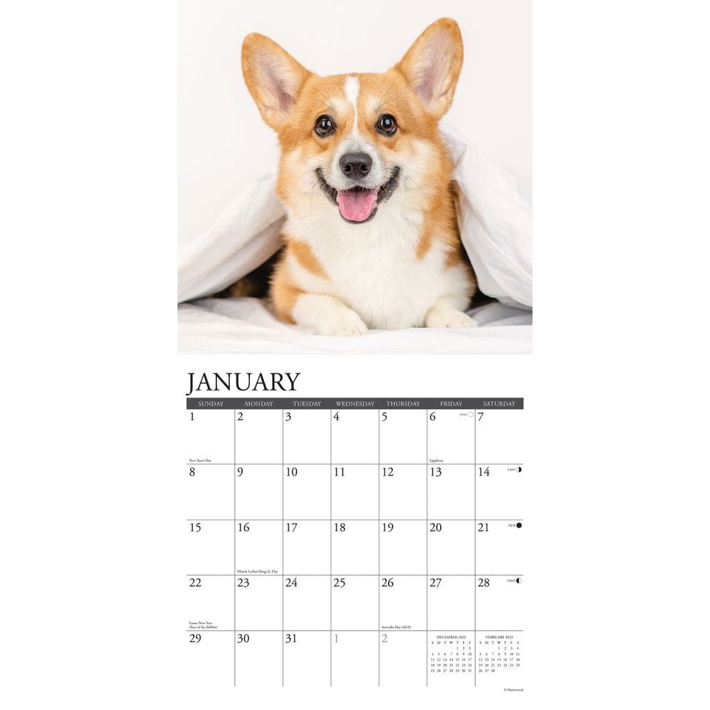 Buy Just Corgis 2023 Wall Calendar (Other) Online at Lowest Price in ...