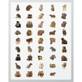 35pcs-50pcs Cute Animal Stickers Funny Kids Stickers Cartoon Animal ...