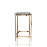 Furniture of America Allade Modern Gold 44-inch Glass Computer Desk by ...