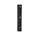 Networx 12U Swing Out Wall Mount Rack [301 Series, 18-28" Adjustable ...