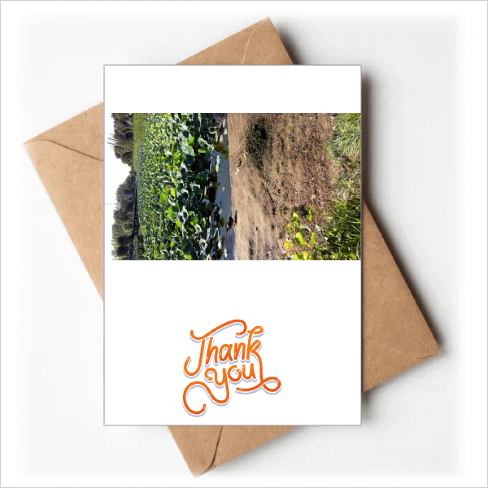 Planta hoja Lotus Lake Nota en blanco del sobre de la tarjeta de ...