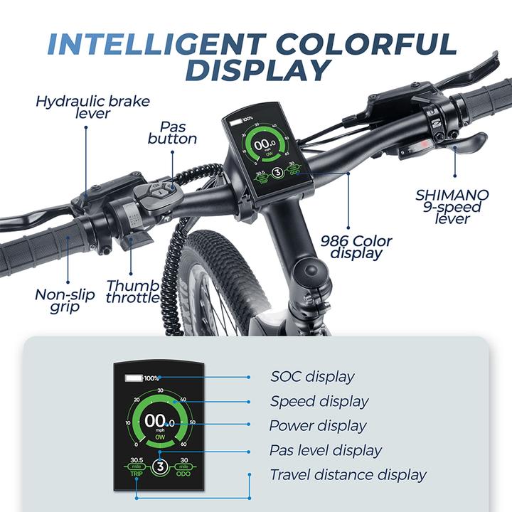 Buy 2021 Eahora Apus E-pas | 350w Mtb With Carbon Fiber Frame Online at ...