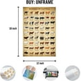 Asdg12s-Breeds of Cattle Poster,Common Breeds of Beef and Dairy Cows ...