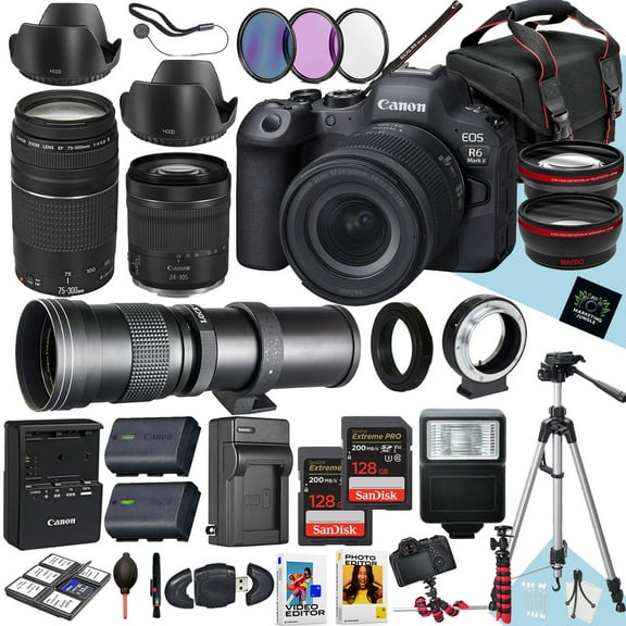Canon EOS R6 Mark II Mirrorless Camera + Canon RF 24-105mm STM and EF ...
