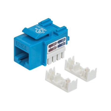 Intellinet Keystone Jack, Cat6, UTP, Punch-down, Blue - Modular insert ...