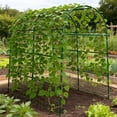 Garden Arch Trellis for Climbing Plants Outdoor - 83" H*71" W*43" L ...