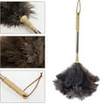 Ostrich Feather Duster with Extension Pole Up to 43 inch, Genuine ...