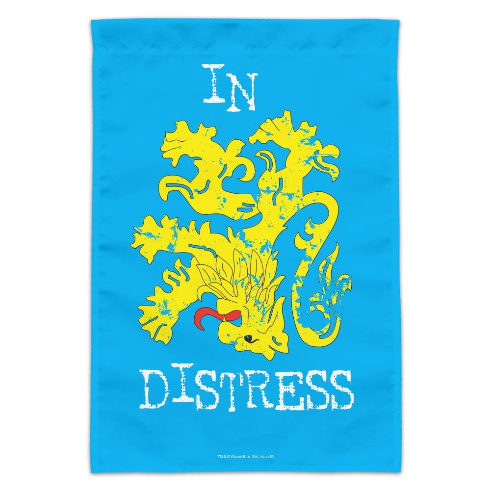 Big Bang Theory In Distress Garden Yard Flag - Walmart.com