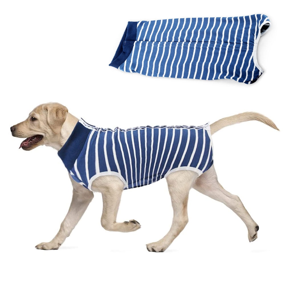 Traje postoperatorio para perros, traje de esterilización/castración ...