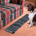 High Tech Pet Radio Mat Dog Scat Pad - Walmart.com