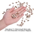 1Box Natural Spiral Shell Beads Wheat 11~18x6~9x5~7.5mm Hole: 1mm about ...