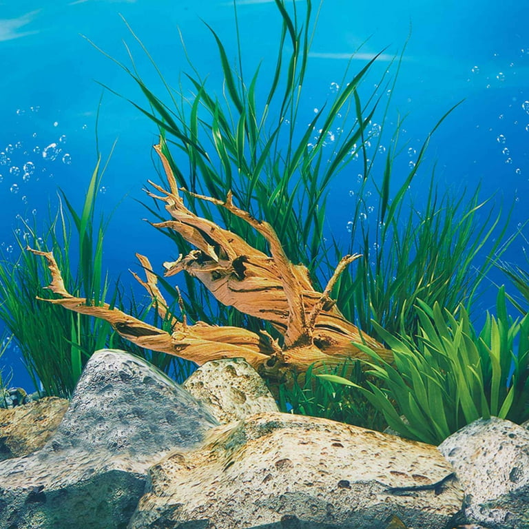 Fish Tank Background Hd