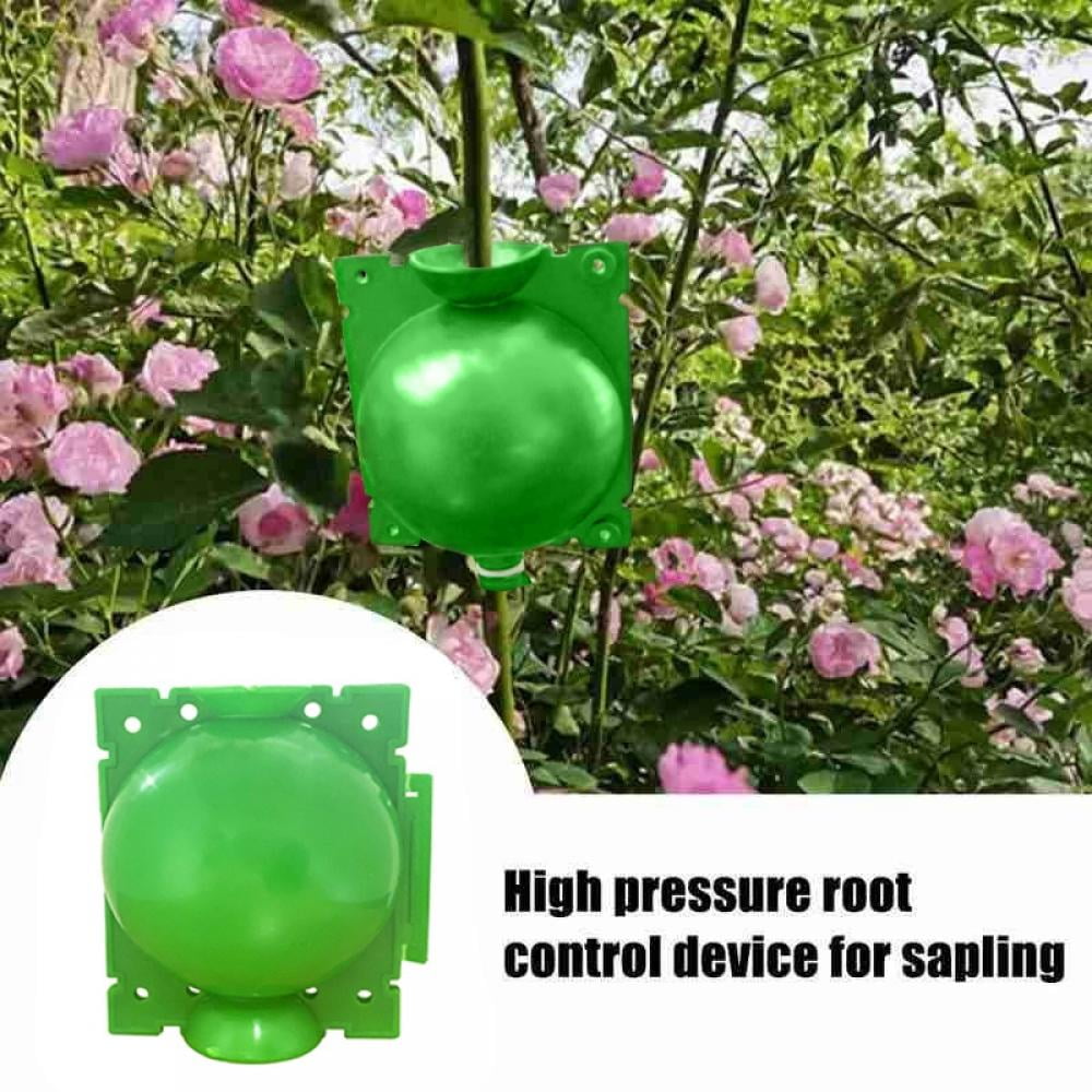 Tree Root Growing Box, Rooting Ball Grafting Tools, Reusable High ...