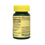 Spring Valley Iron Tablets Dietary Supplement Value Size, 65 mg, 200 ...