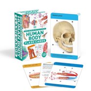 Moore's Clinical Anatomy Flash Cards (Other) - Walmart.com