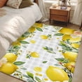 3'x5' Area Rugs, Lemon Farmhouse Indoor Outdoor Area Rug for Living ...