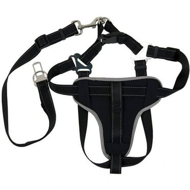 Bergan Auto Dog Harness, Small - Walmart.com