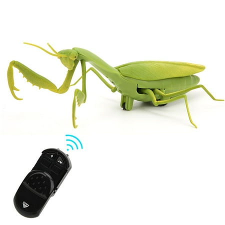 Noref Infrared Remote Control High Simulation Insect Kid Trick-playing ...