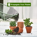 3 Inch Terra Cotta Pots with Drainage - 20 Pack Clay Flower Pots ...