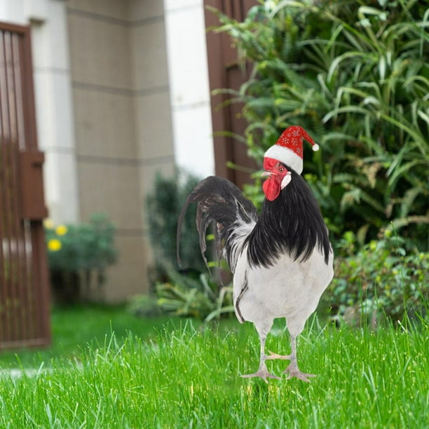 Chicken Sculpture Chicken Yard Art Decor Acrylic Outdoor Sign ...