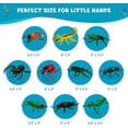 Insects, 5", Set of 10 - Walmart.com