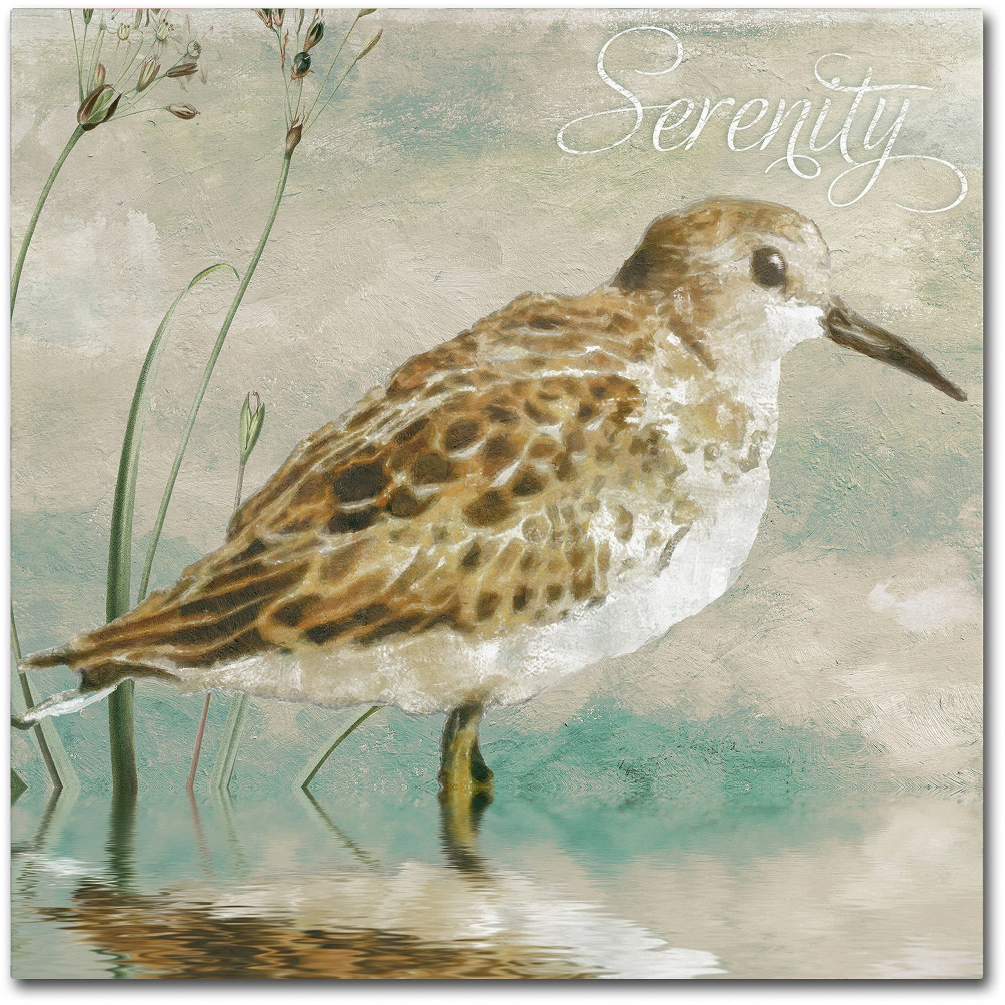 Trademark Fine Art "Sand Piper I" Canvas Art by Color Bakery - Walmart.com