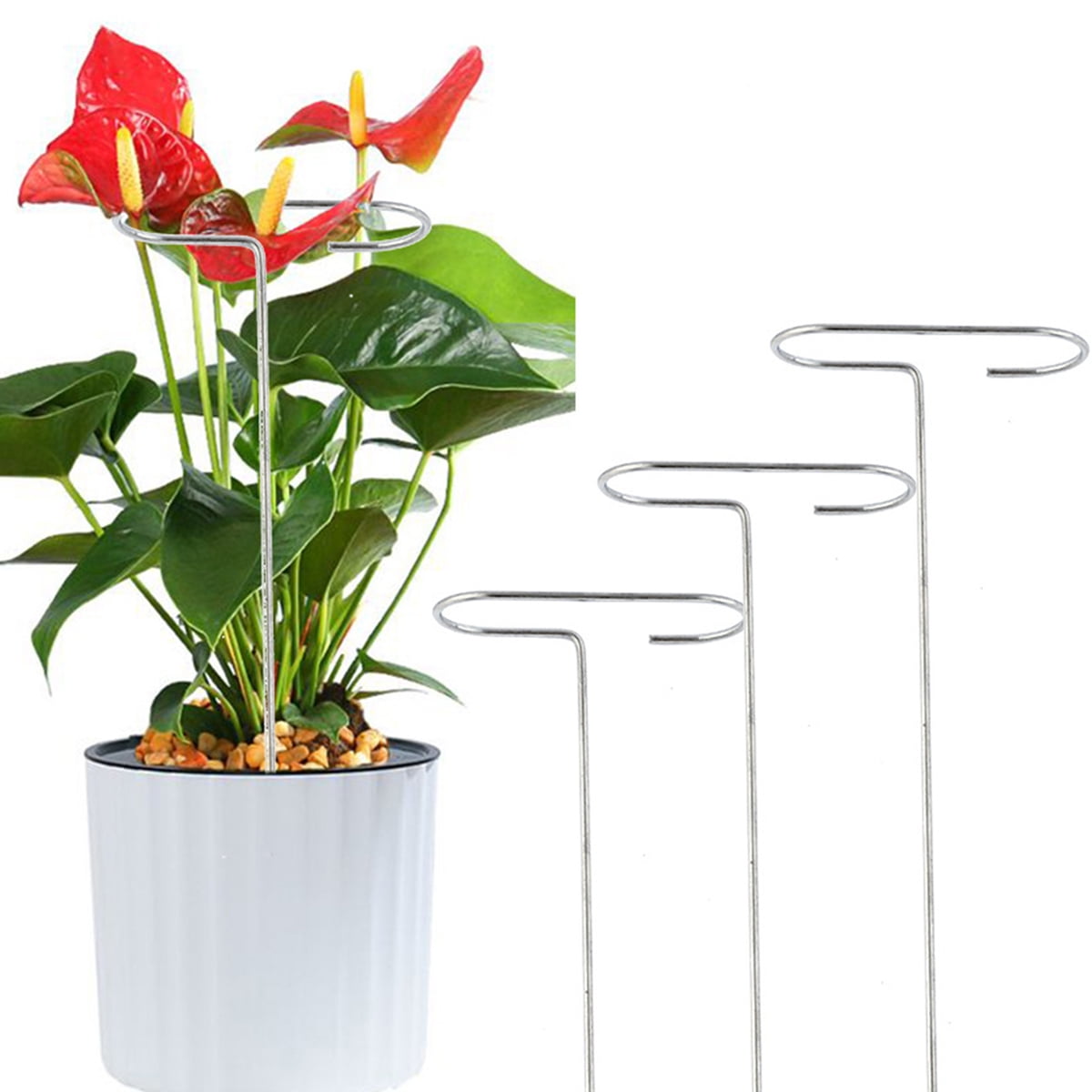 Travelwant 4Packs Plant Support Stakes, Garden Single Stem Support ...