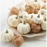 TomorrowSeeds - Baby Boo Pumpkin Seeds - 20+ Count Packet - Mini White ...