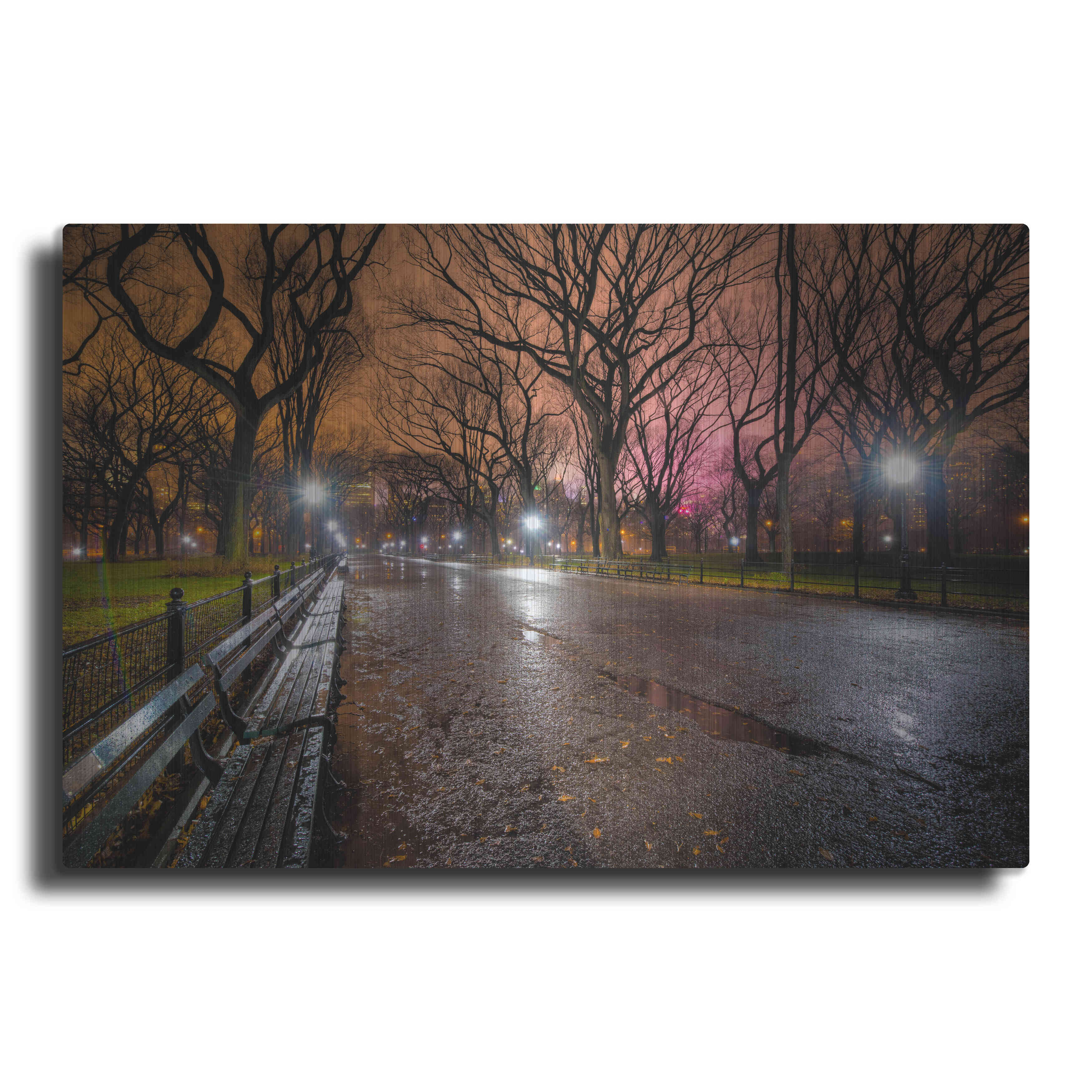 Luxe Metal Art 'The Crying Park' by Edin Chavez, Metal Wall Art, 24"x16 ...