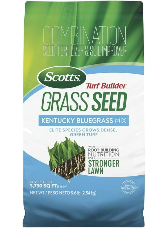 Kentucky Bluegrass Seed in Grass Seed & Sod - Walmart.com