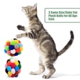6Pcs Colorful Toy Toy Soft Chewing for Kitten Teething Toy Shape ...