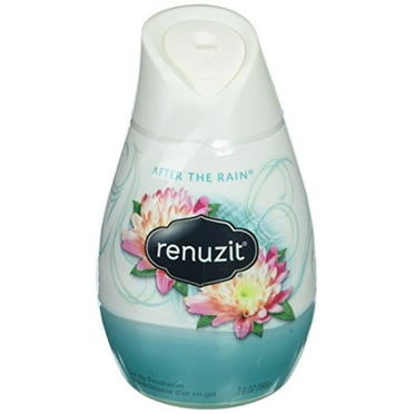 Renuzit Adjustable Gel Air Freshener Cone, After the Rain Scent ...