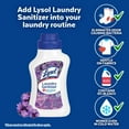 Lysol® Laundry Sanitizer Additive, Eliminates Odor Causing Bacteria ...