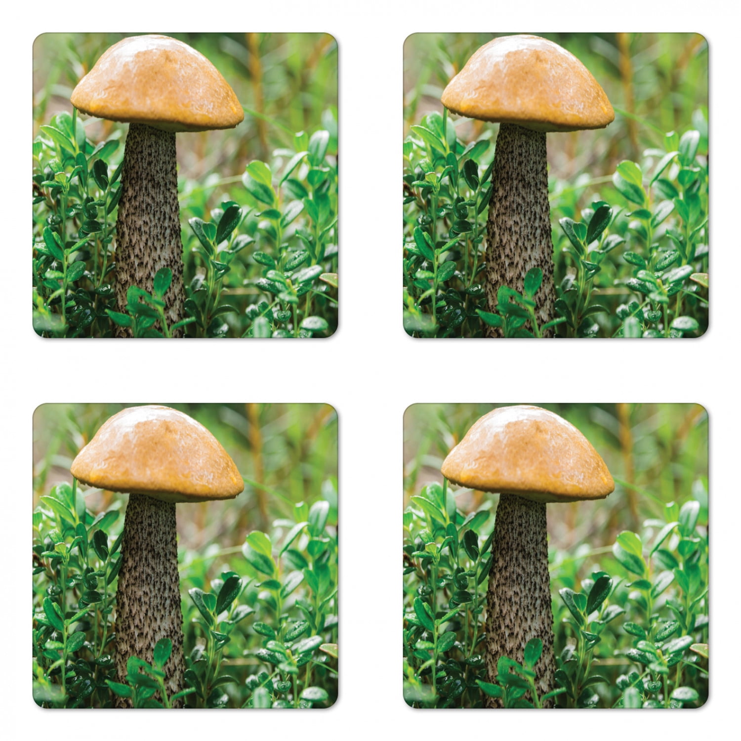 Mushroom Coaster Set of 4, Close up Image of Plantation on Grass Edible ...