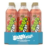 Splash Fizz, Blood Orange Flavor Sparkling Water Beverage, 20 Fl Oz ...