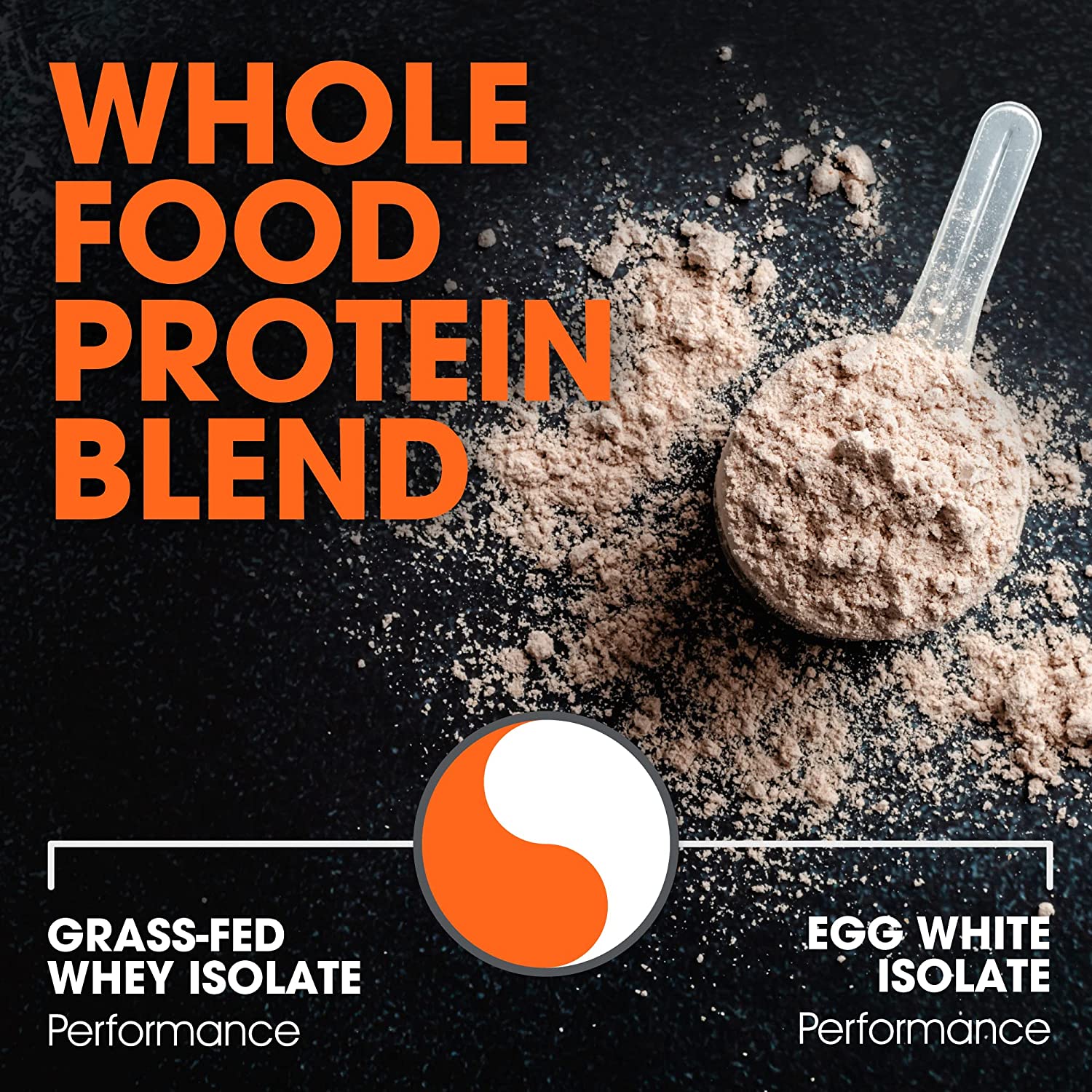 Casein Protein Powder