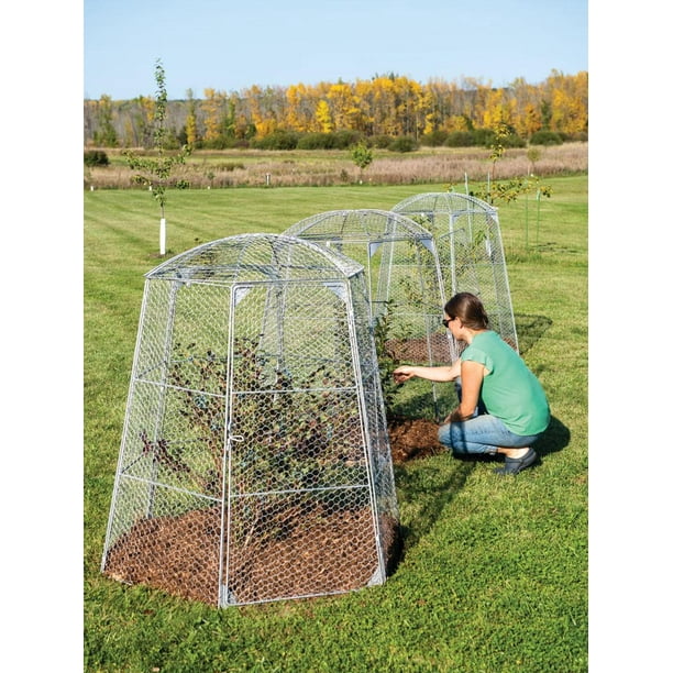 Chicken Wire Super Dome - Walmart.com