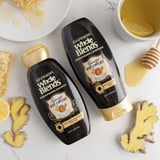 Garnier Whole Blends Gentle Daily Nourishing, Ginger Recovery ...