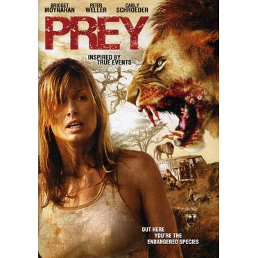 P2 (DVD) - Walmart.com