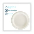 "Paper Dinnerware, Plates, White, 8.5"" Dia, 125/pack | Bundle of 5 ...