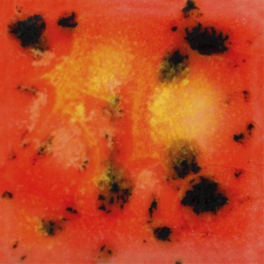 Mayco Stoneware Crystal Glaze, Celadon Bloom SW150, 1 Pint - Walmart.com