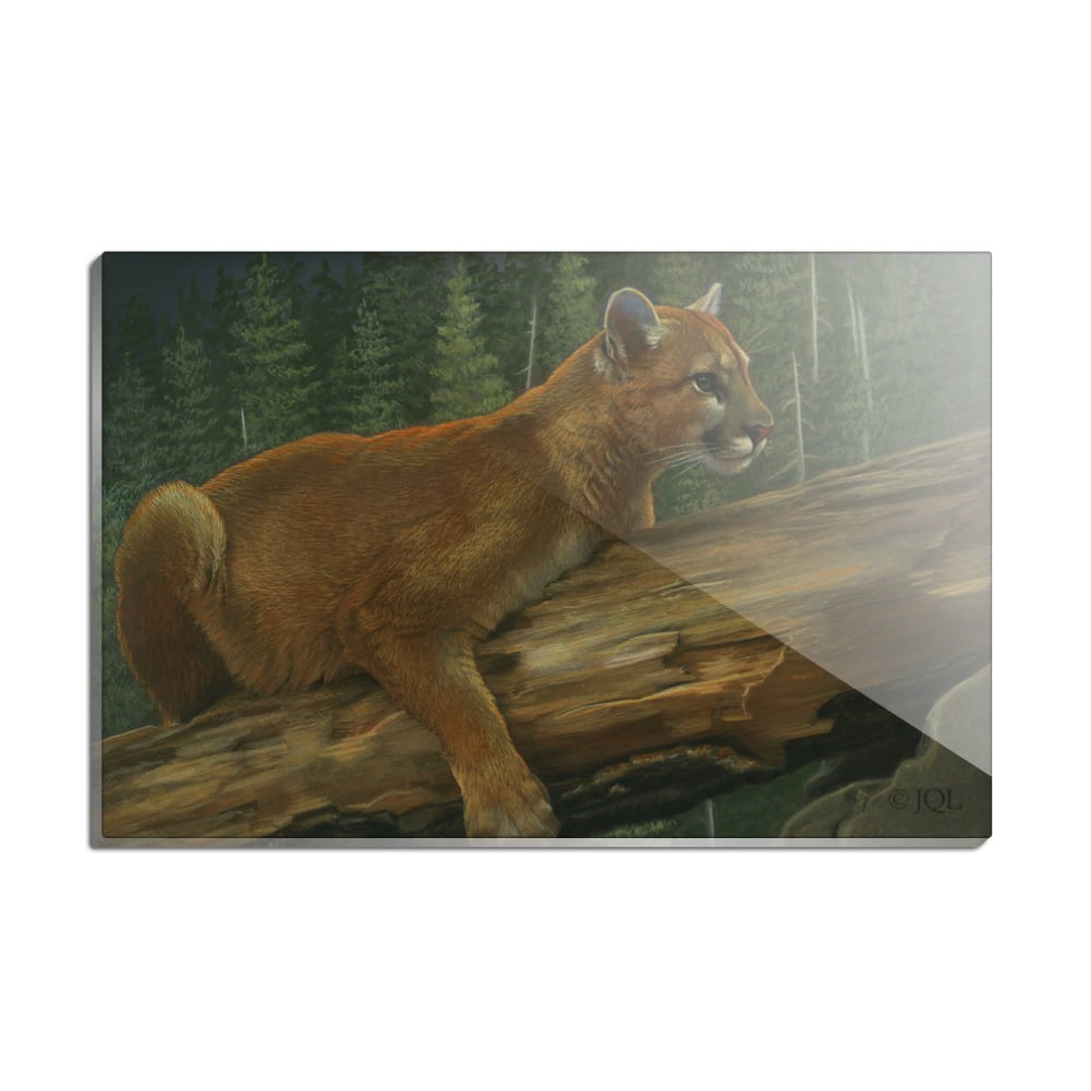Cougar Mountain Lion on Fallen Tree Rectangle Acrylic Fridge ...