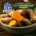 Turmeric Zone Organic Locally Grown Turmeric Root 1 lb with Extra Roots ...